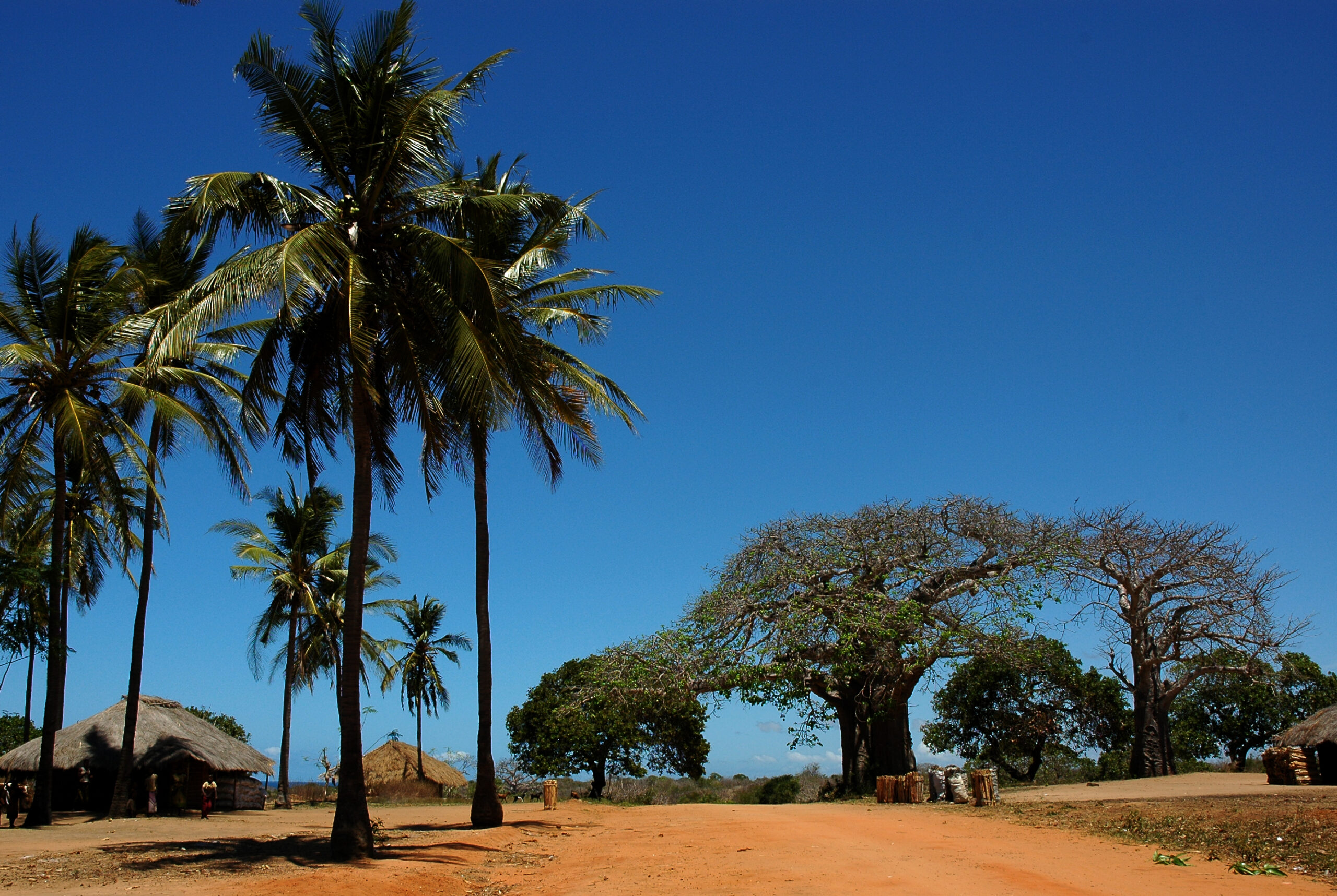 Social Media, Conflict, and Peacebuilding in Southern Africa: A Primer ...